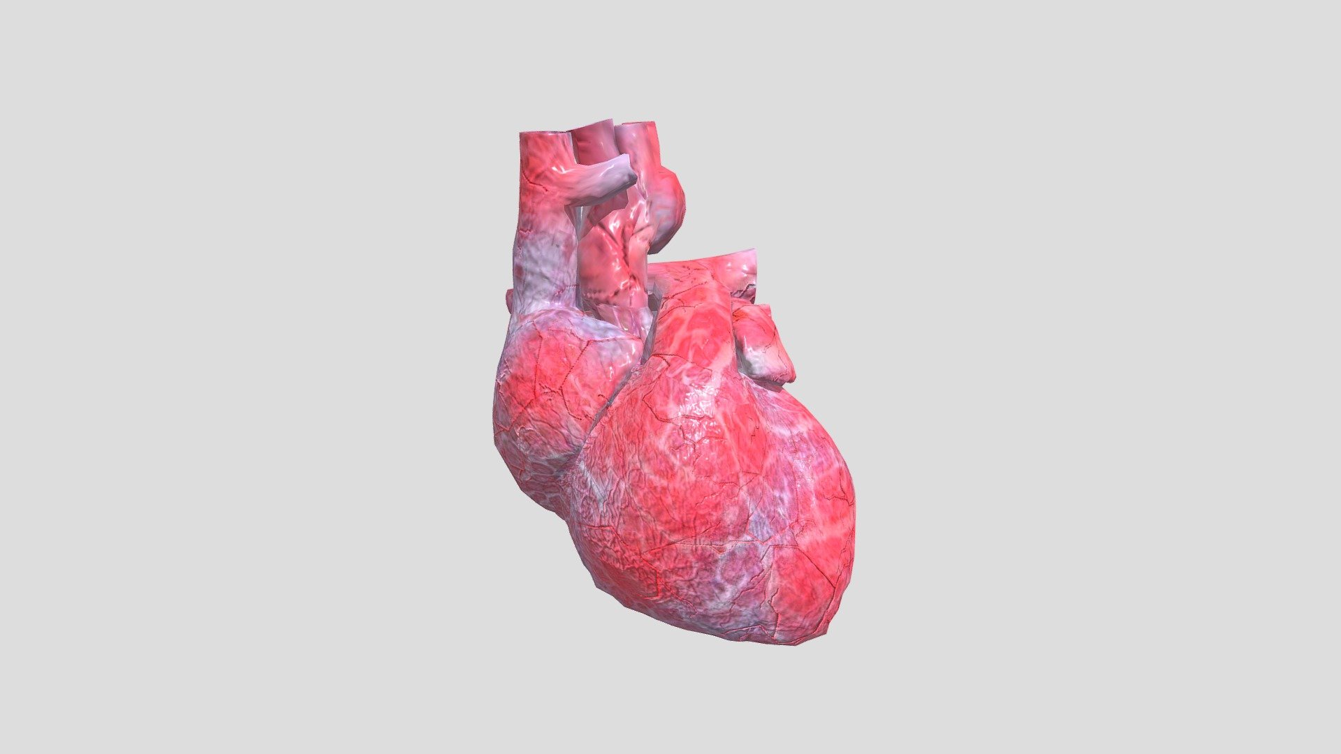 heart - Download Free 3D model by wiz (@whiztruster) [922d918] - Sketchfab