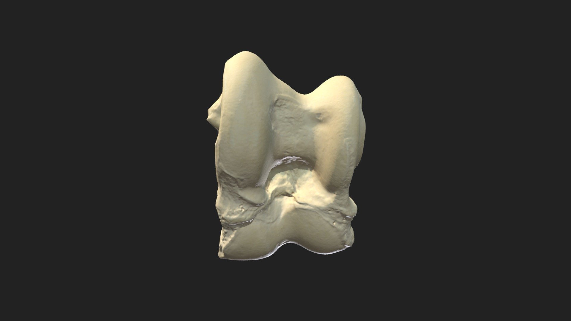 talus (talus) cow - Download Free 3D model by vetanatMunich [922e9ab ...