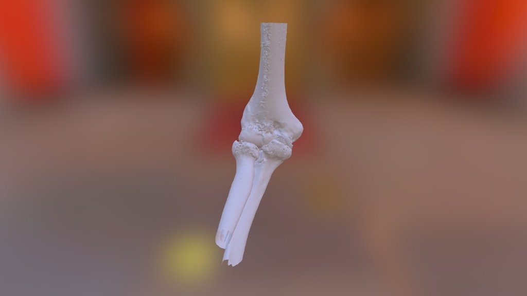 Elbow - sku269 - 3D model by orto3d [9230a54] - Sketchfab