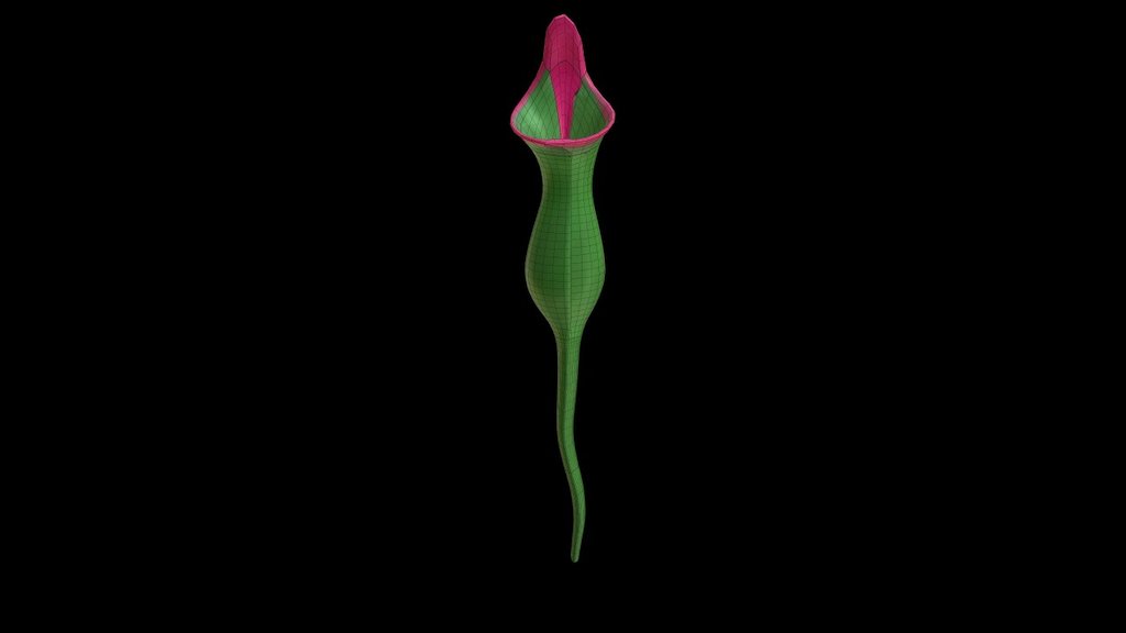Heliamphora Plant - 3D model by nateward (@natee97) [9235a68] - Sketchfab