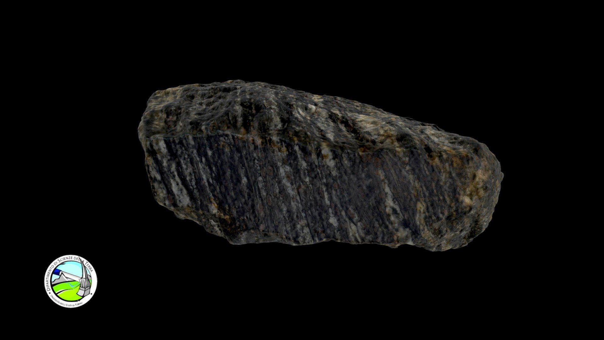 MR 19 - Paragneiss migmatitico - 3D model by Dipartimento di Scienze ...