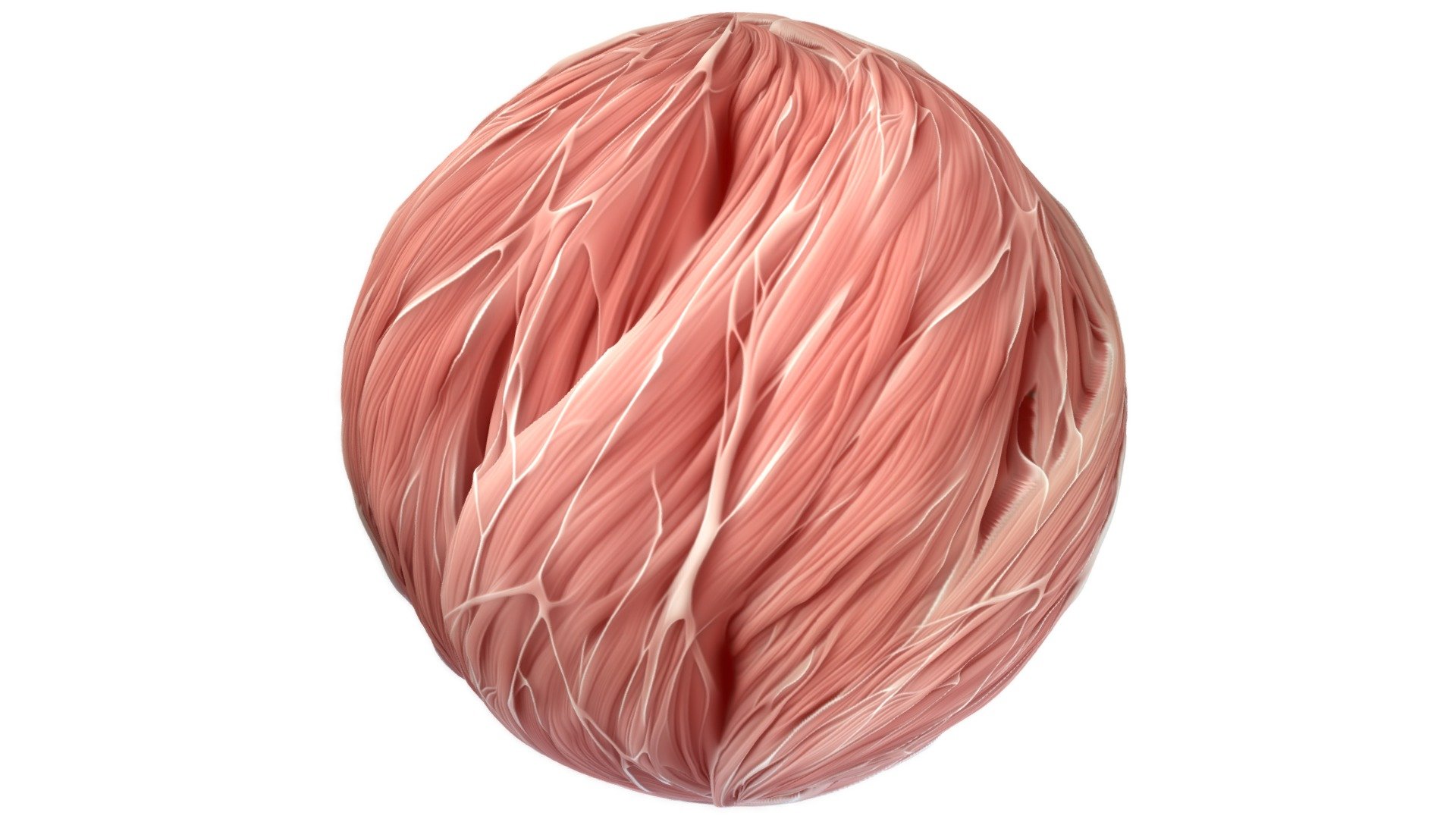 Anatomy Seamless Texture - Buy Royalty Free 3D model by zames1992 [923f0c1] - Sketchfab Store