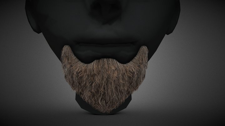 Goatee 3D models - Sketchfab