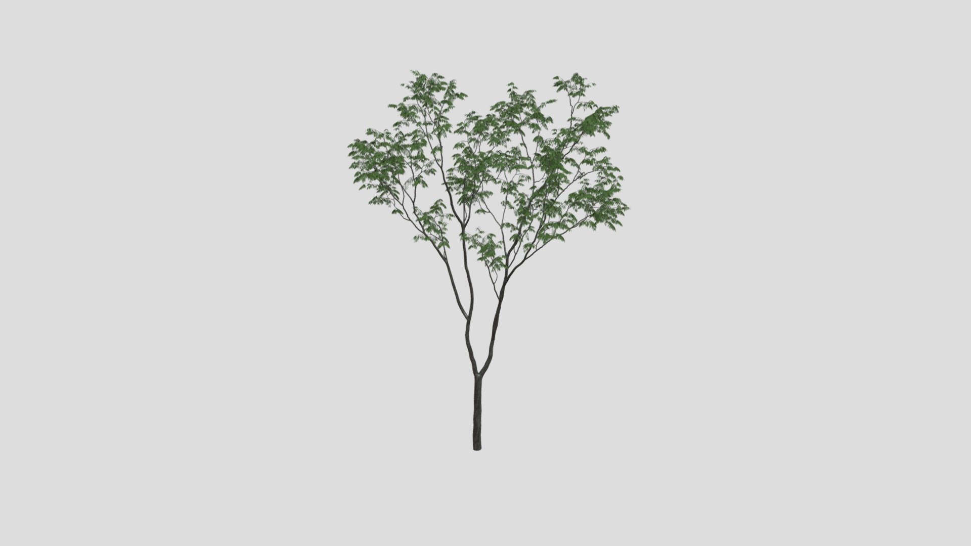 tree 2 AM207 Archmodel - Buy Royalty Free 3D model by Evermotion ...
