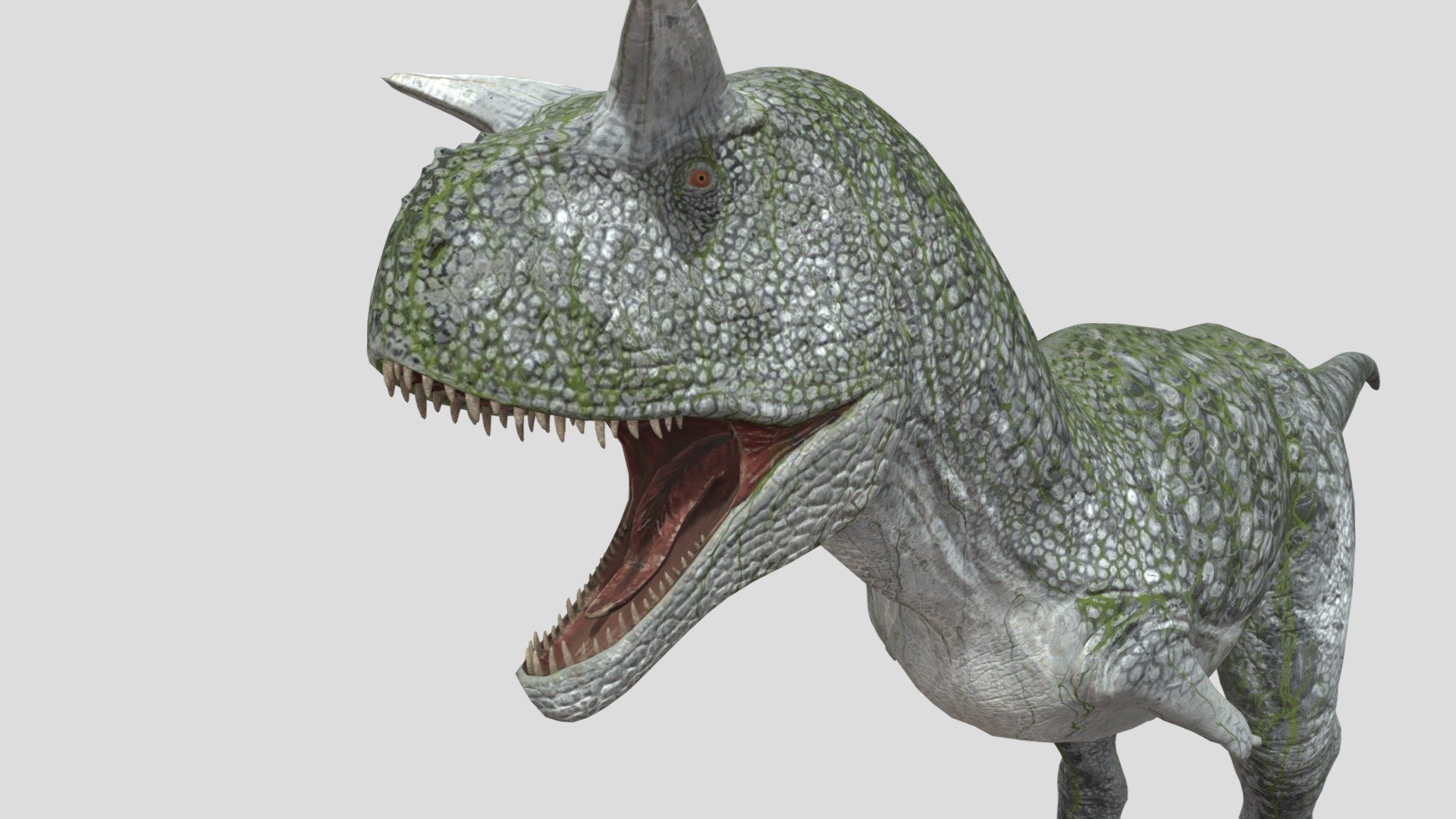 Carnotaurus - Download Free 3D model by Tim (@TimFallas) [926afd6 ...