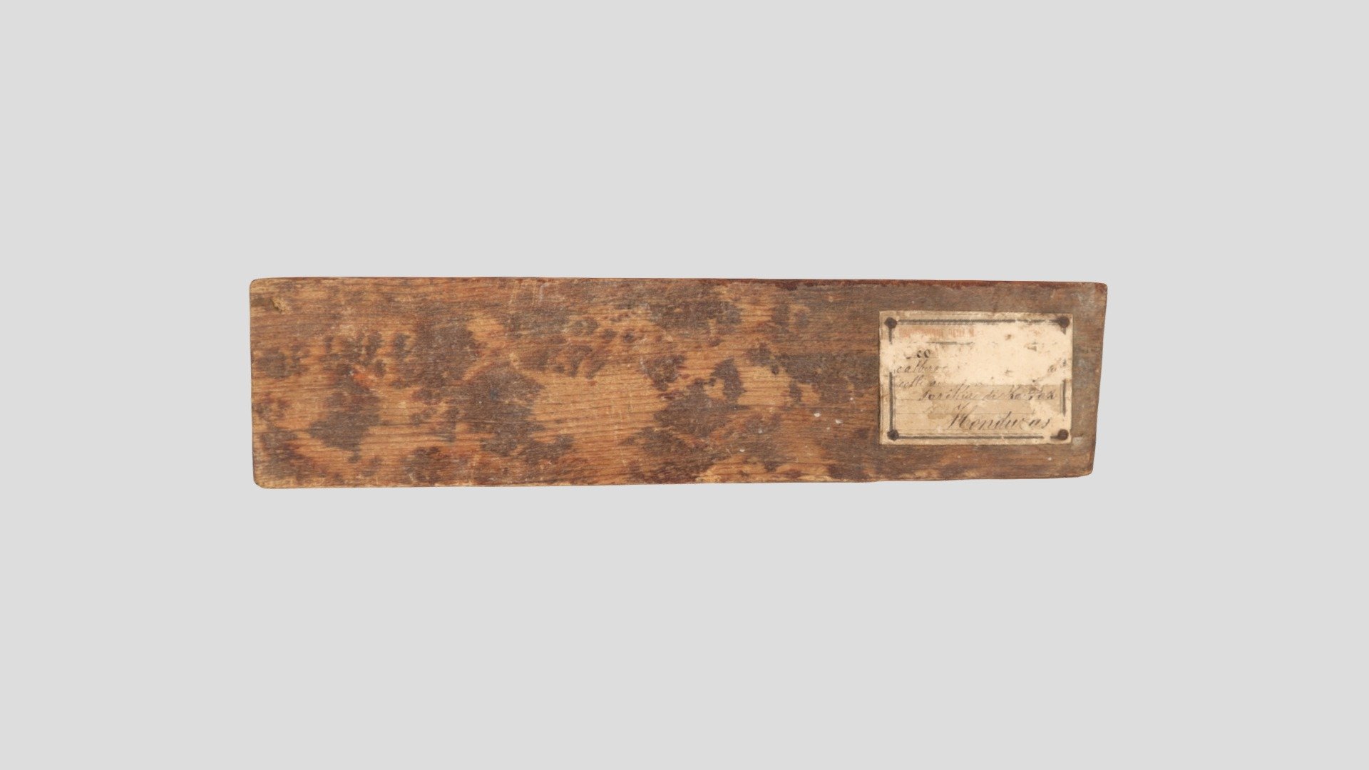 Wood Collection, Xylarium sample #7 - 3D model by SMA-UniGe [926cc0b ...