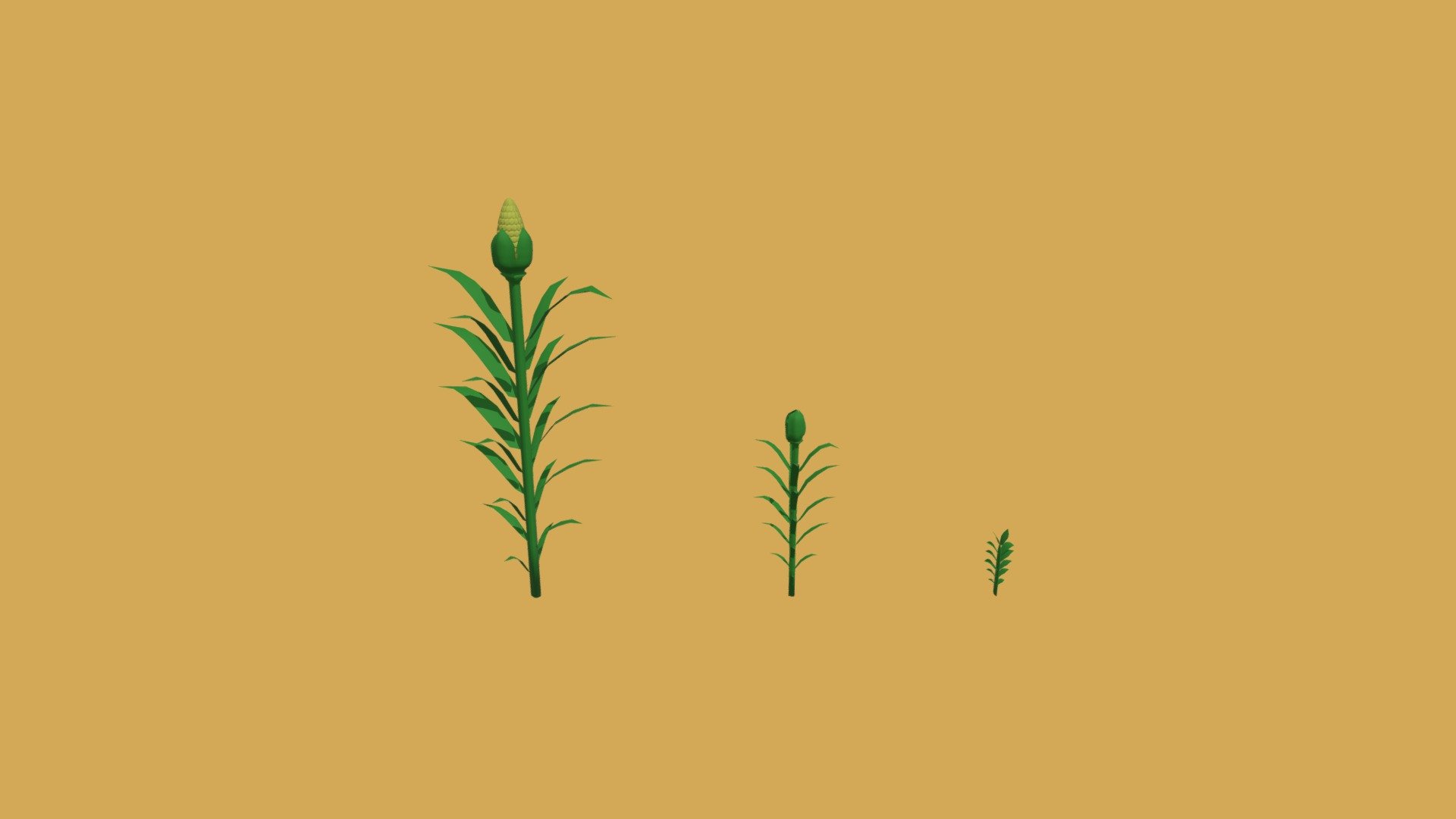 Corn Plant - 3D model by Khan_Blending (@asgarovaykhan508) [9278d1c ...