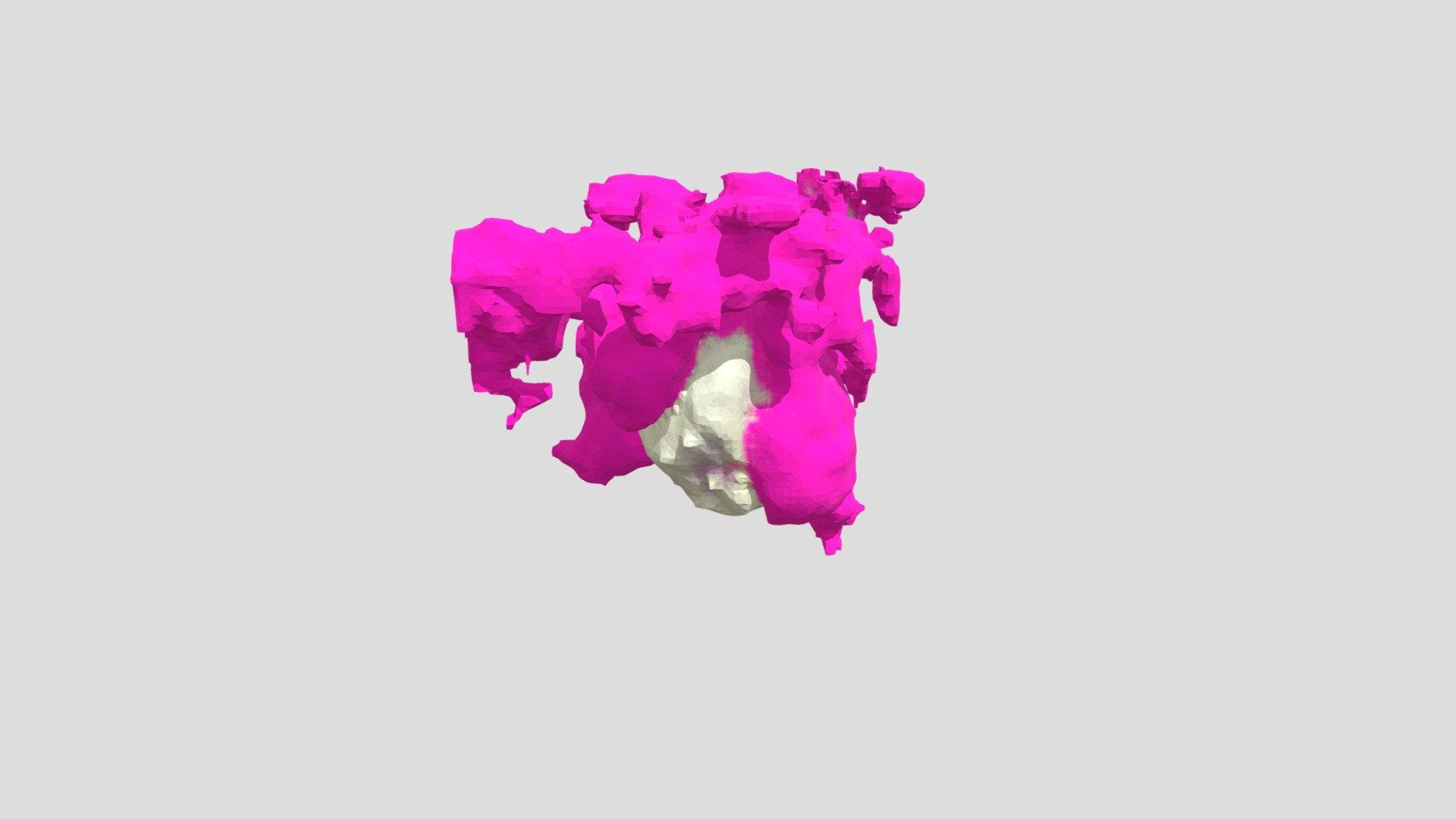 Pink bull terrier - Download Free 3D model by Mirage (@mirageml ...