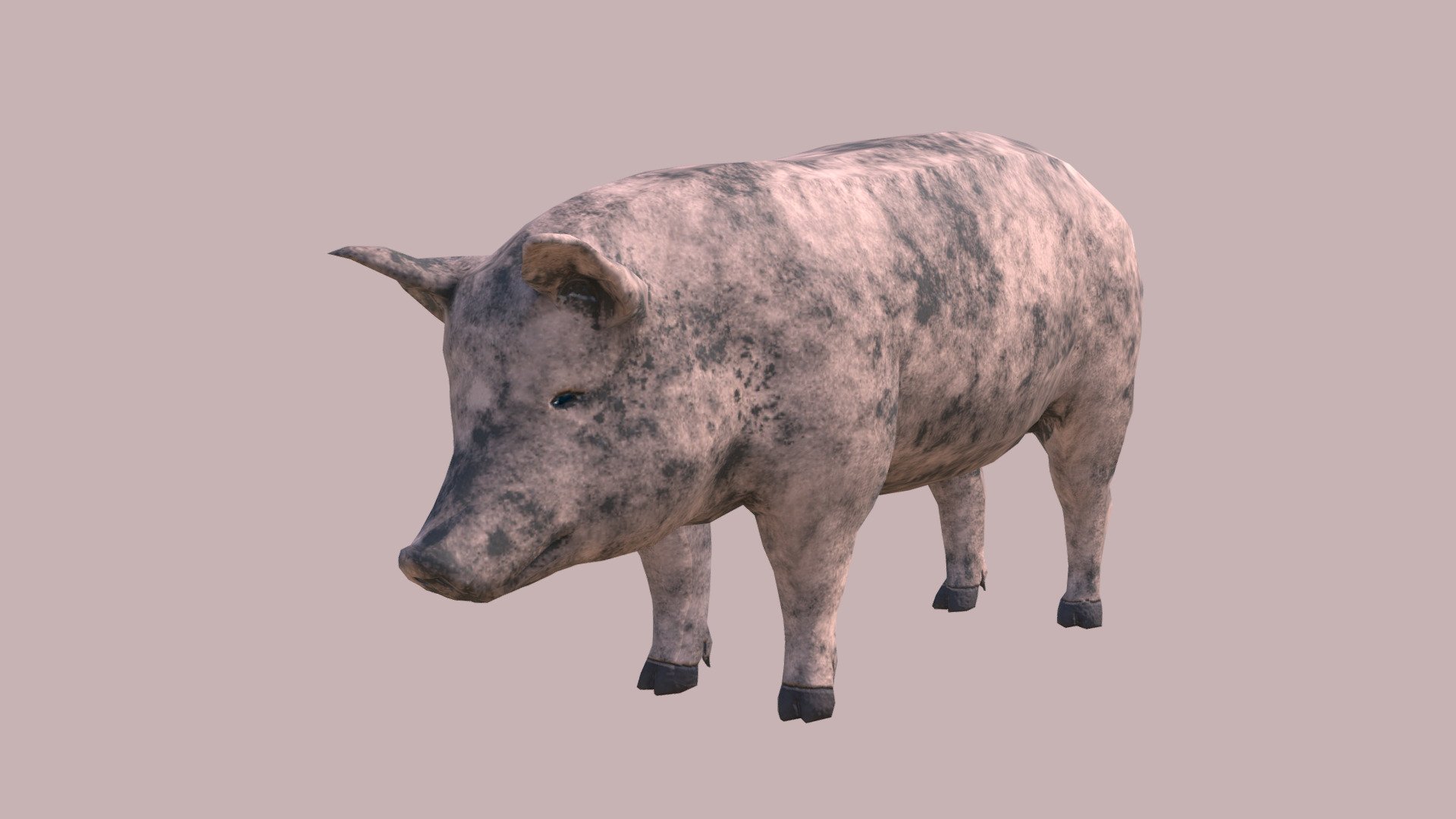 PIG - 3D model by wharekingi [928fdf8] - Sketchfab
