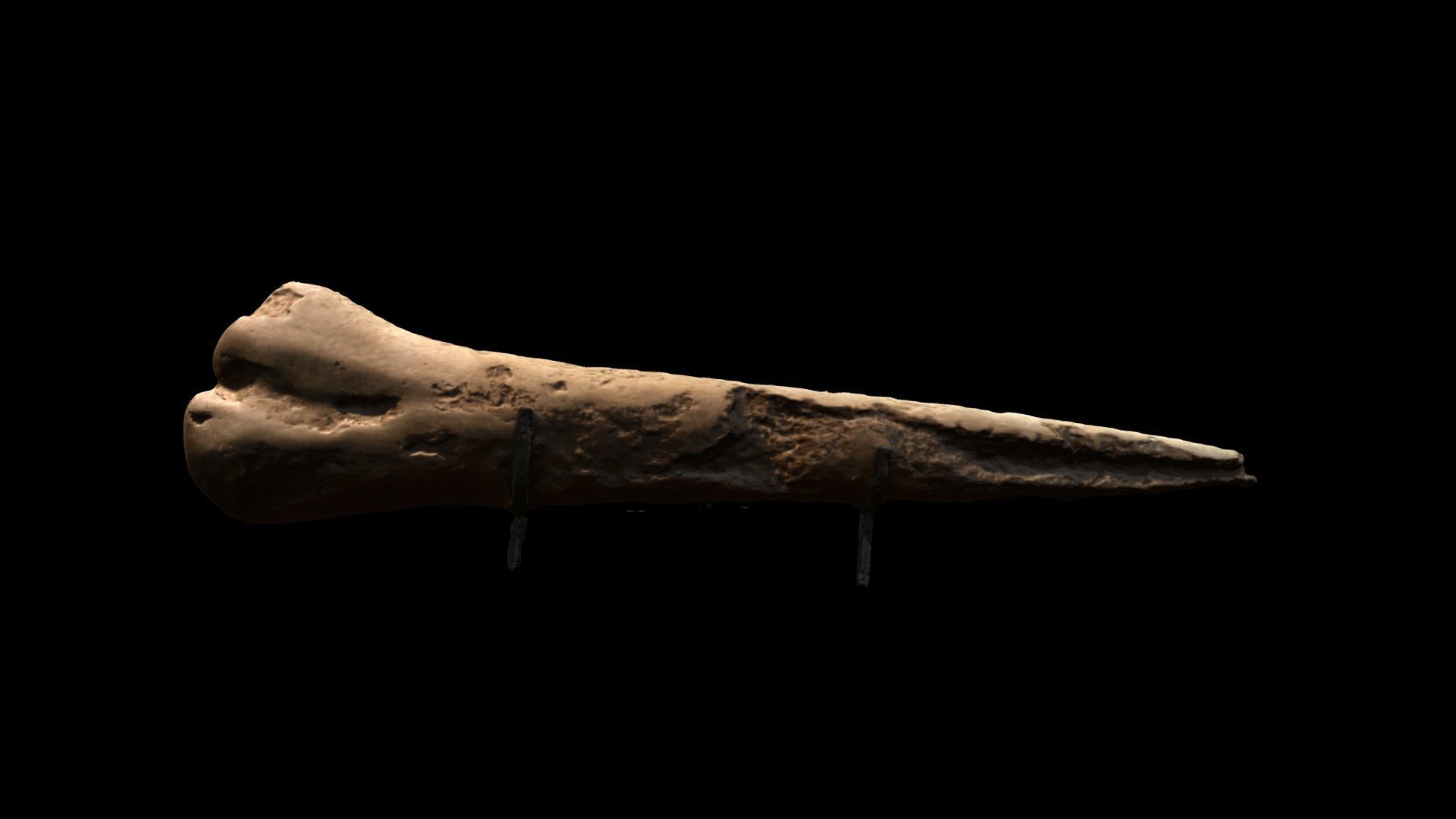 Big Bone - Download Free 3D model by kevjumba (@kevinmullin99) [92926c5 ...