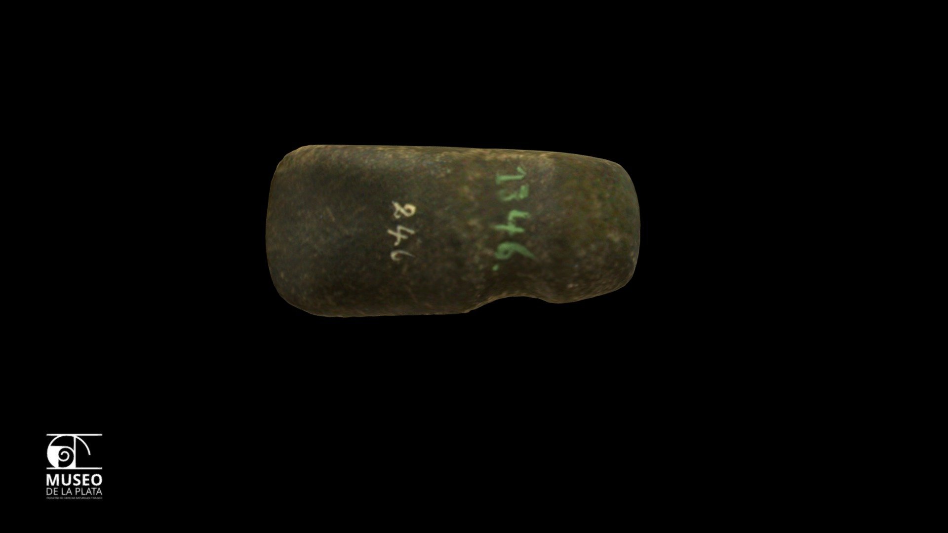 MLP-Ar-FPM-1346 - 3D model by Museo de La Plata, Argentina (@museolp ...