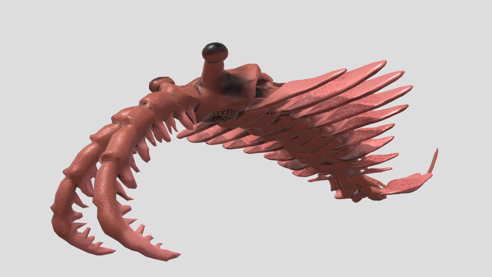 Cambrian odd shrimp 2 - Buy Royalty Free 3D model by haibo ...