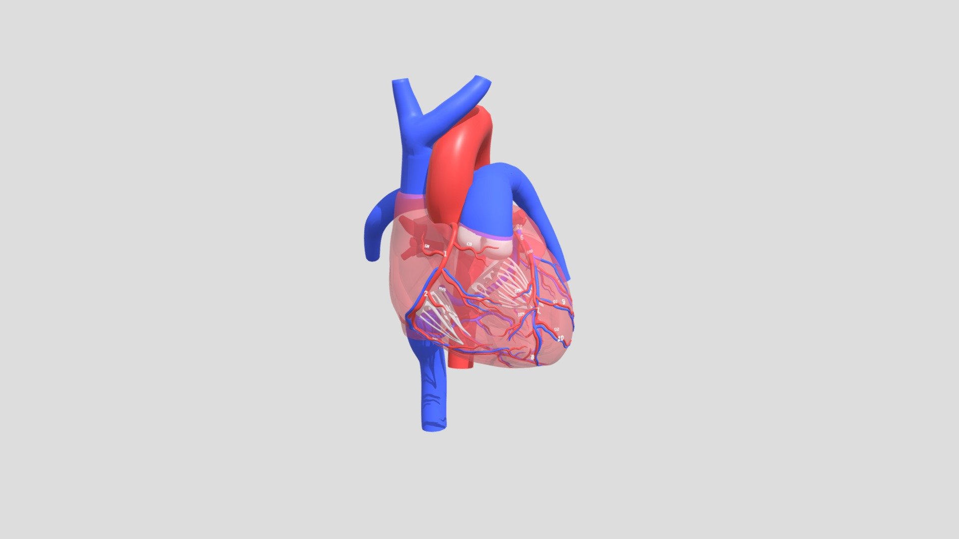 HART _test02 - 3D model by 22104_kei (@scamp.kei) [929b368] - Sketchfab