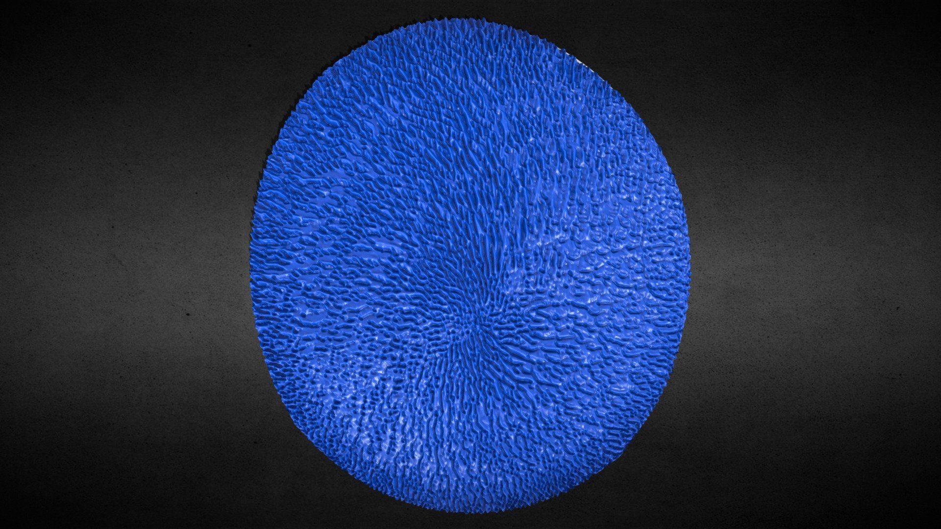 "EAH" The Blue Moon - 3D model by ienjoyit [92a8ec0] - Sketchfab