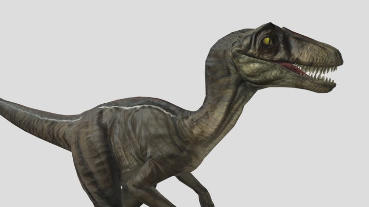 Raptor 3D models - Sketchfab
