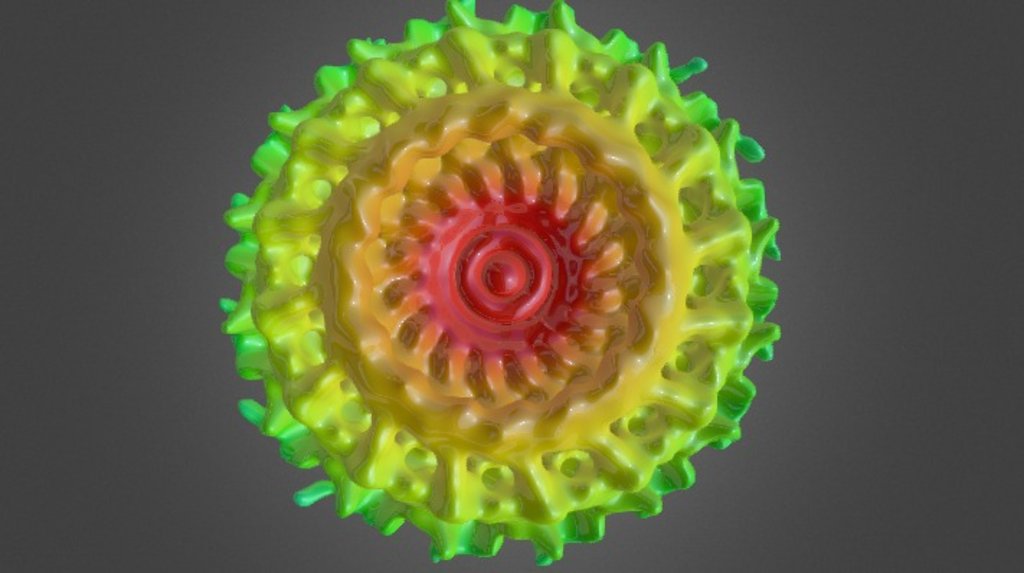Flagellar motor of B. burgdorferi - EMD 6088 - 3D model by Interactive ...