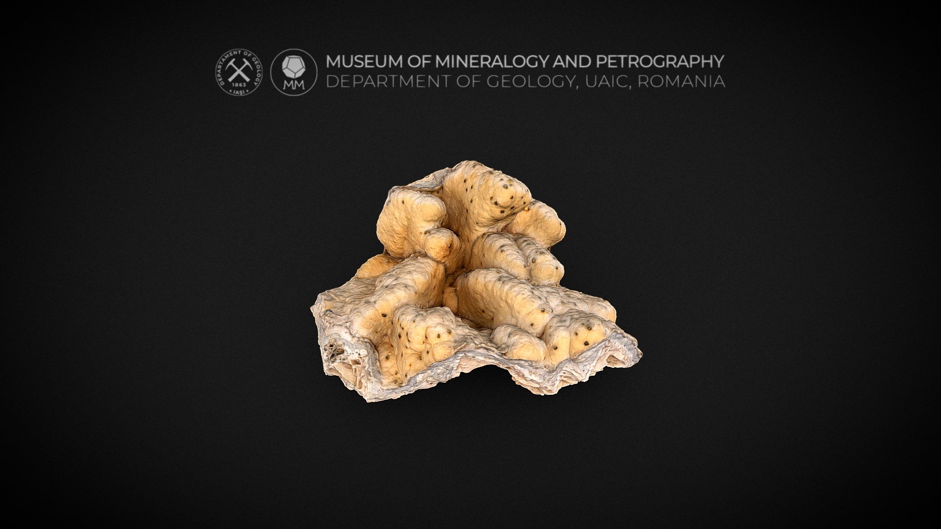 Calcite crust covered with Pyrite snowflakes - 3D model by Museum of ...