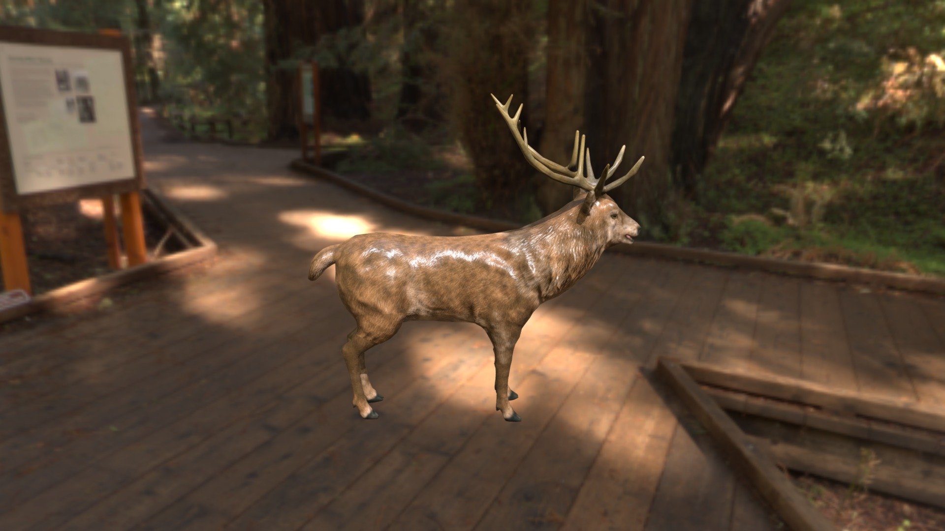 Stag - 3D model by wetpwnage [92c482c] - Sketchfab