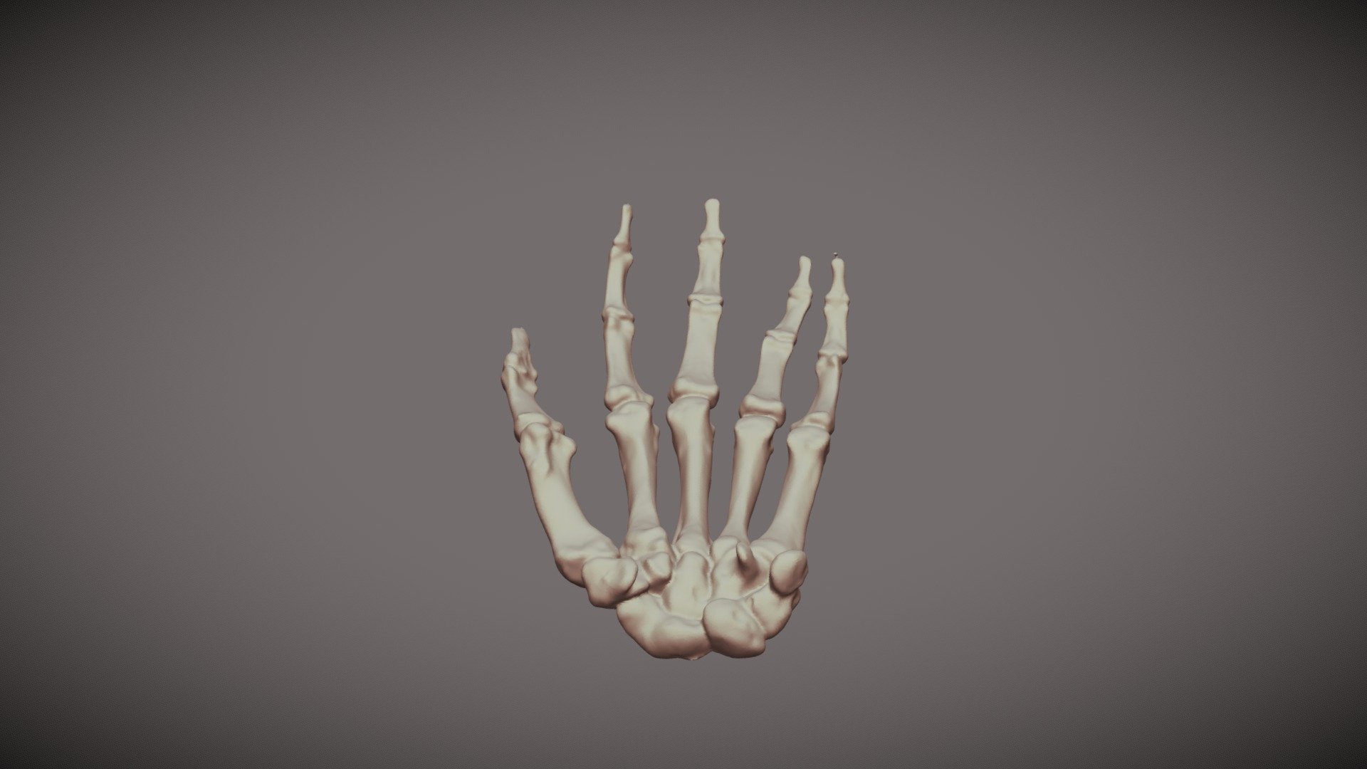 Left Hand - 3D model by OrJames Labs (@orjameslabs) [92d1c95] - Sketchfab
