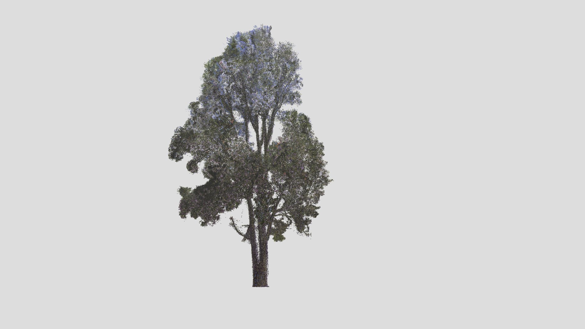 Tree Point Cloud - Buy Royalty Free 3D model by magnum_opus (@tree ...