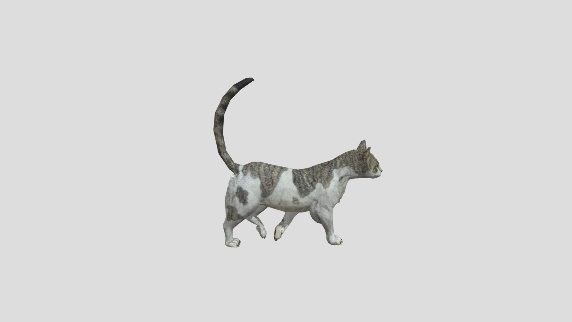 Realistic Animated Walking Cat 3D Model - Download Free 3D model by ...