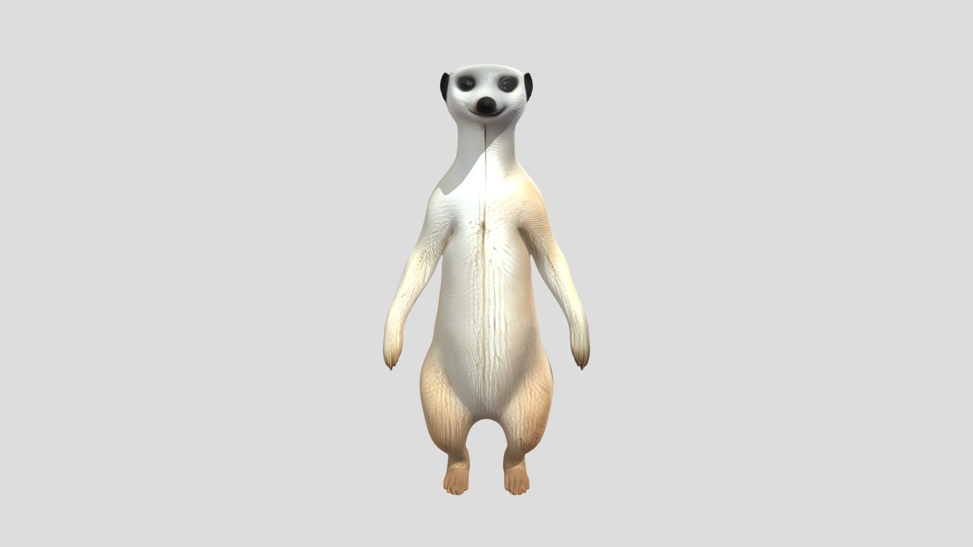 standing meerkat on black background - 3D model by 123lisheng123 ...