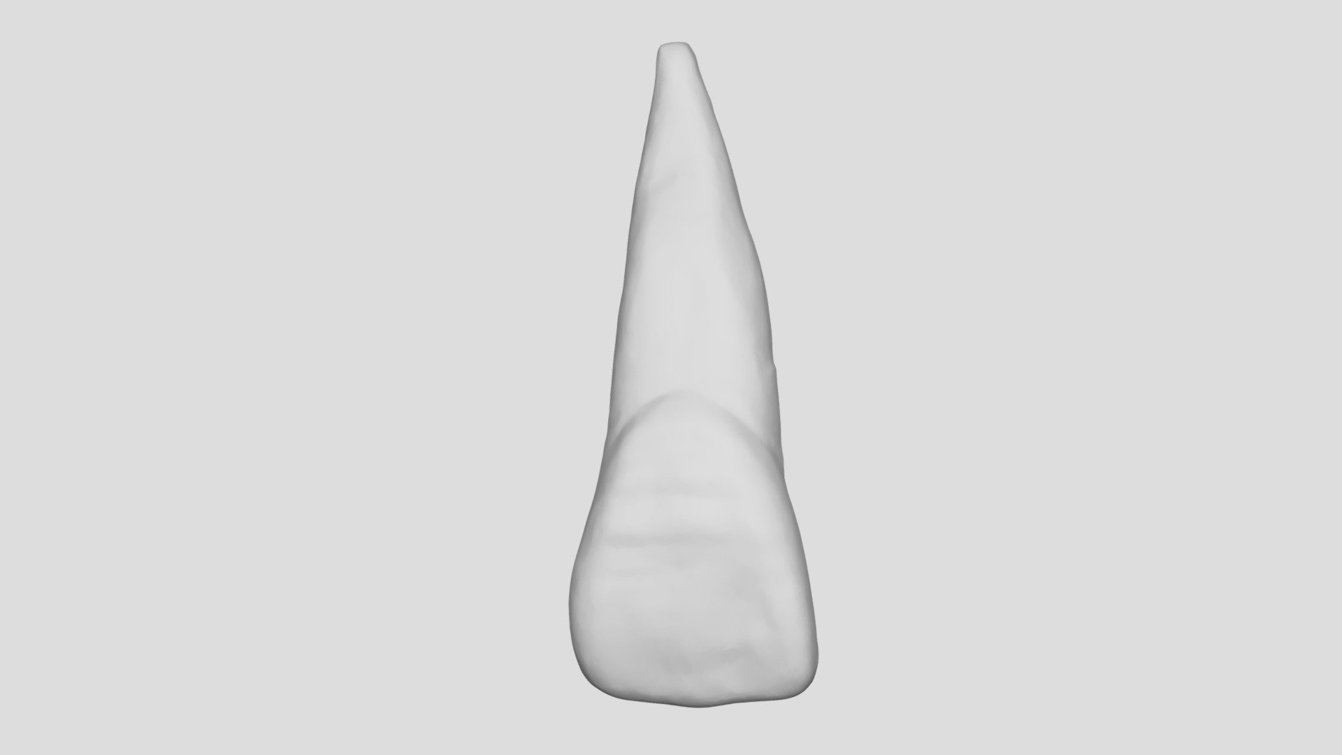 Central Incisor 8 - 3D model by hannahderrick [92e2ab5] - Sketchfab