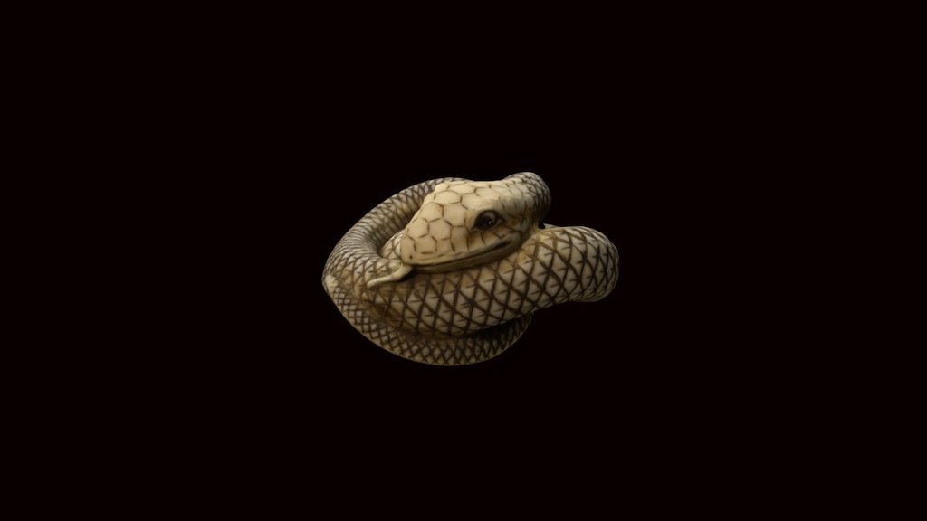 Coiled snake - 3D model by The British Museum (@britishmuseum) [92e5b6d ...