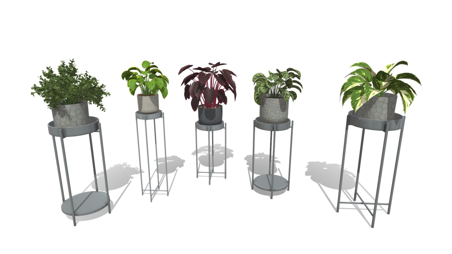 Indoor Plant 3D Models - Buy Royalty Free 3D model by hkhalif [92ea3be ...
