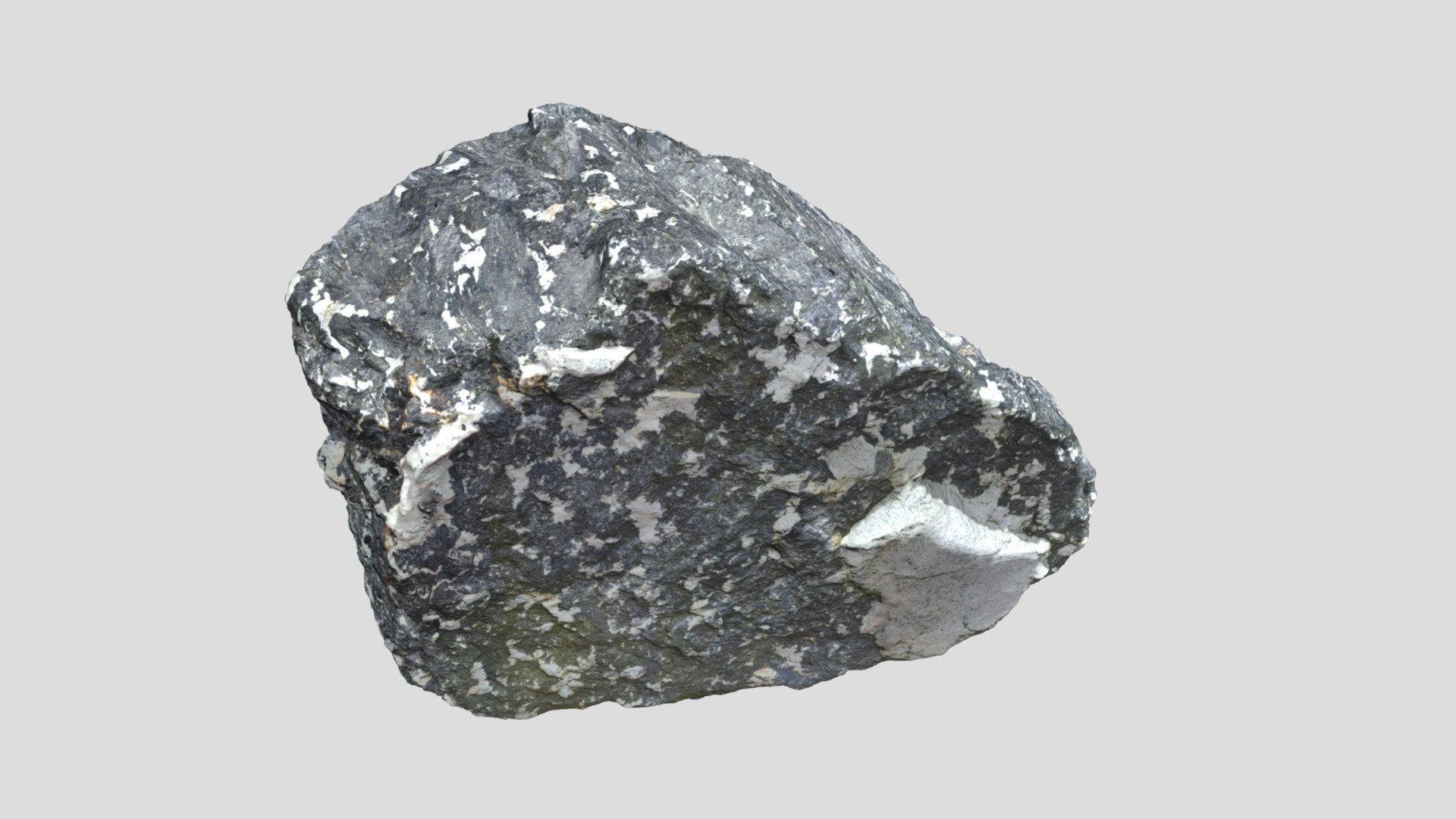 Otago Geology - Mounted rock in Quadrangle - 5 - Download Free 3D model ...