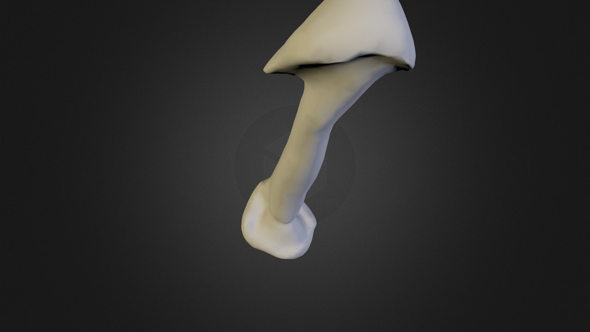 One Bone - 3D model by leopoly [92faa78] - Sketchfab