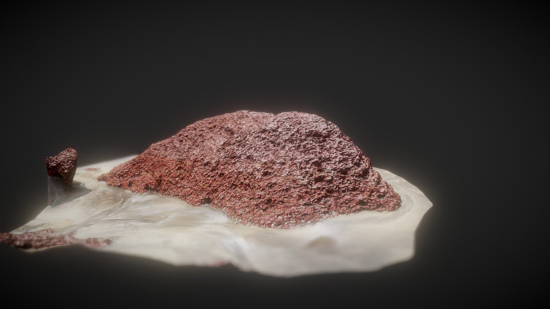Beach Rock In Goa - Download Free 3D model by raobott [930727f] - Sketchfab