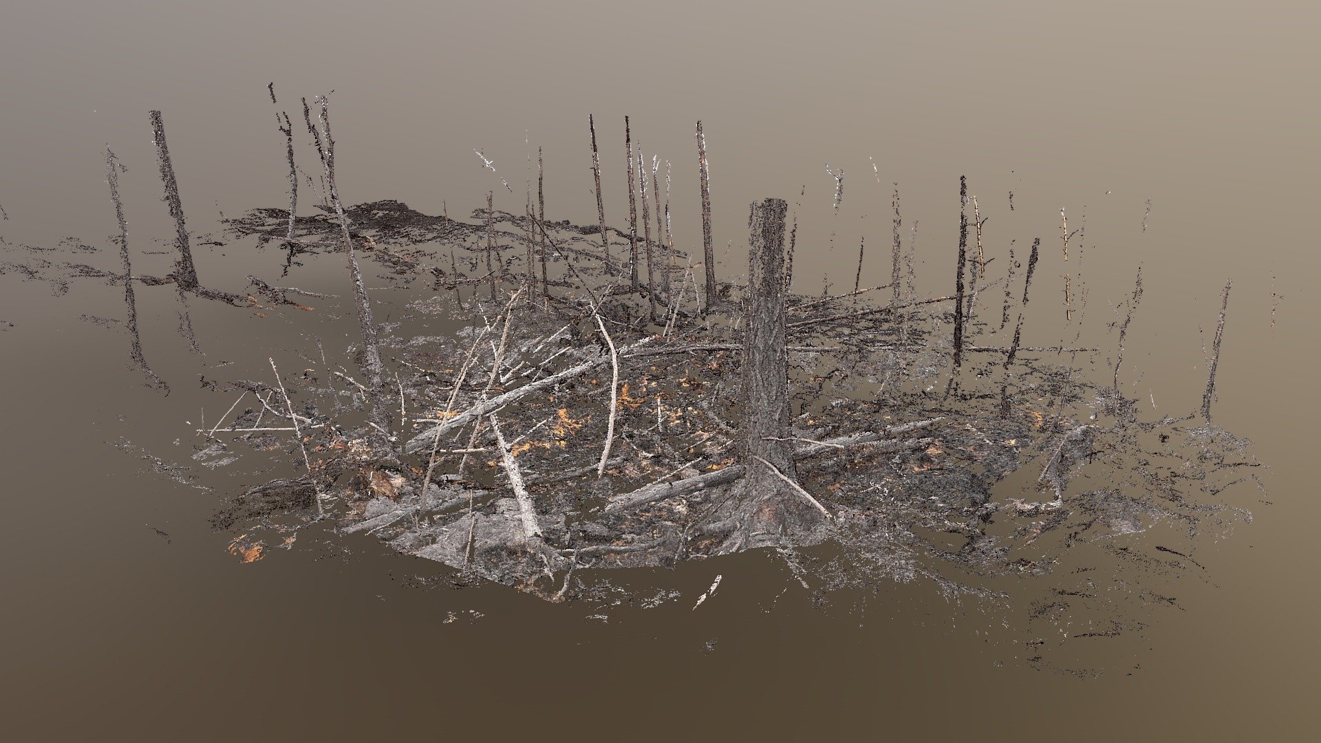 Fire disturbance in boreal forest, Siberia. - Download Free 3D model by ...
