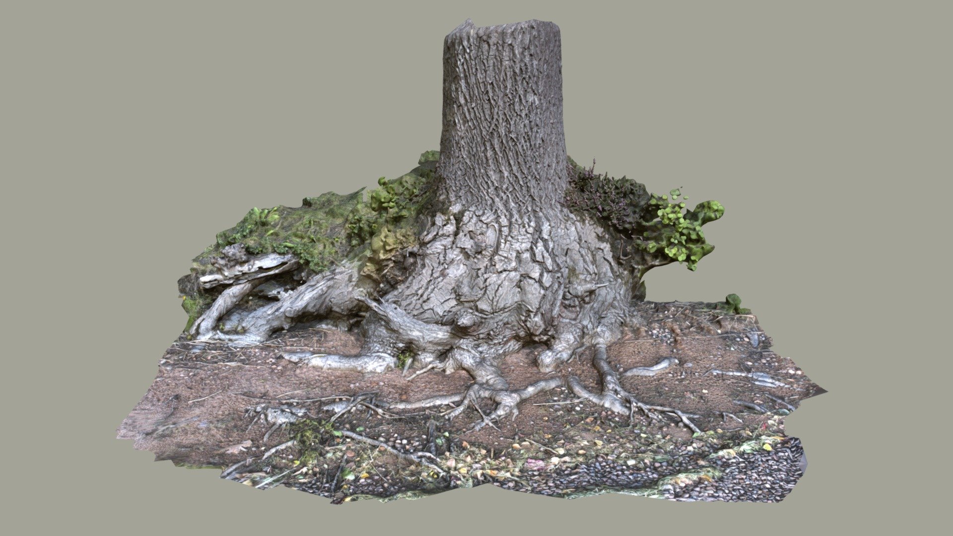 Rot - 3D model by Johannes Wessmark (@Jossehama) [9312eb0] - Sketchfab