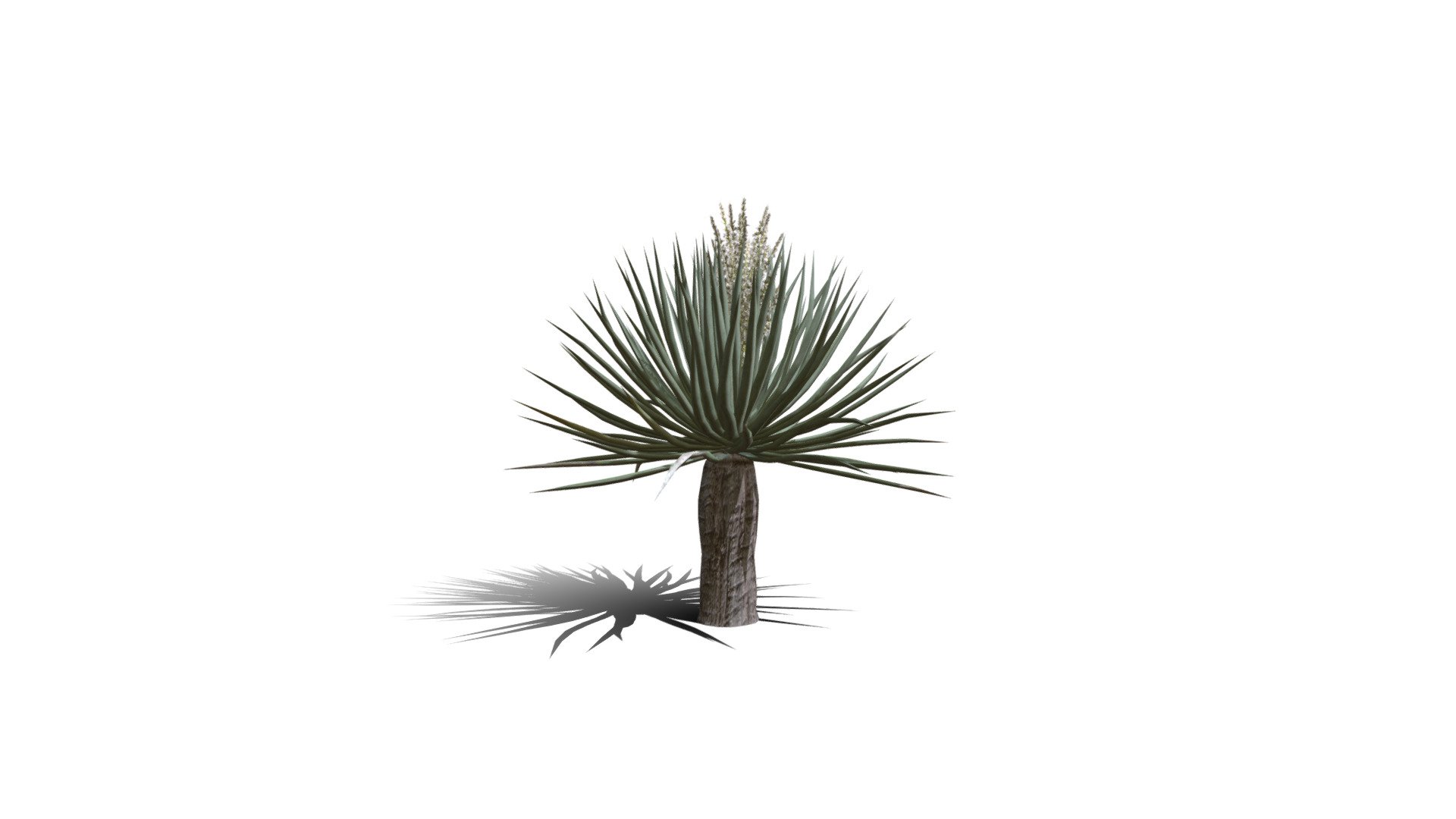 Realistic HD Dragon tree (6/50) - Download Free 3D model by ...