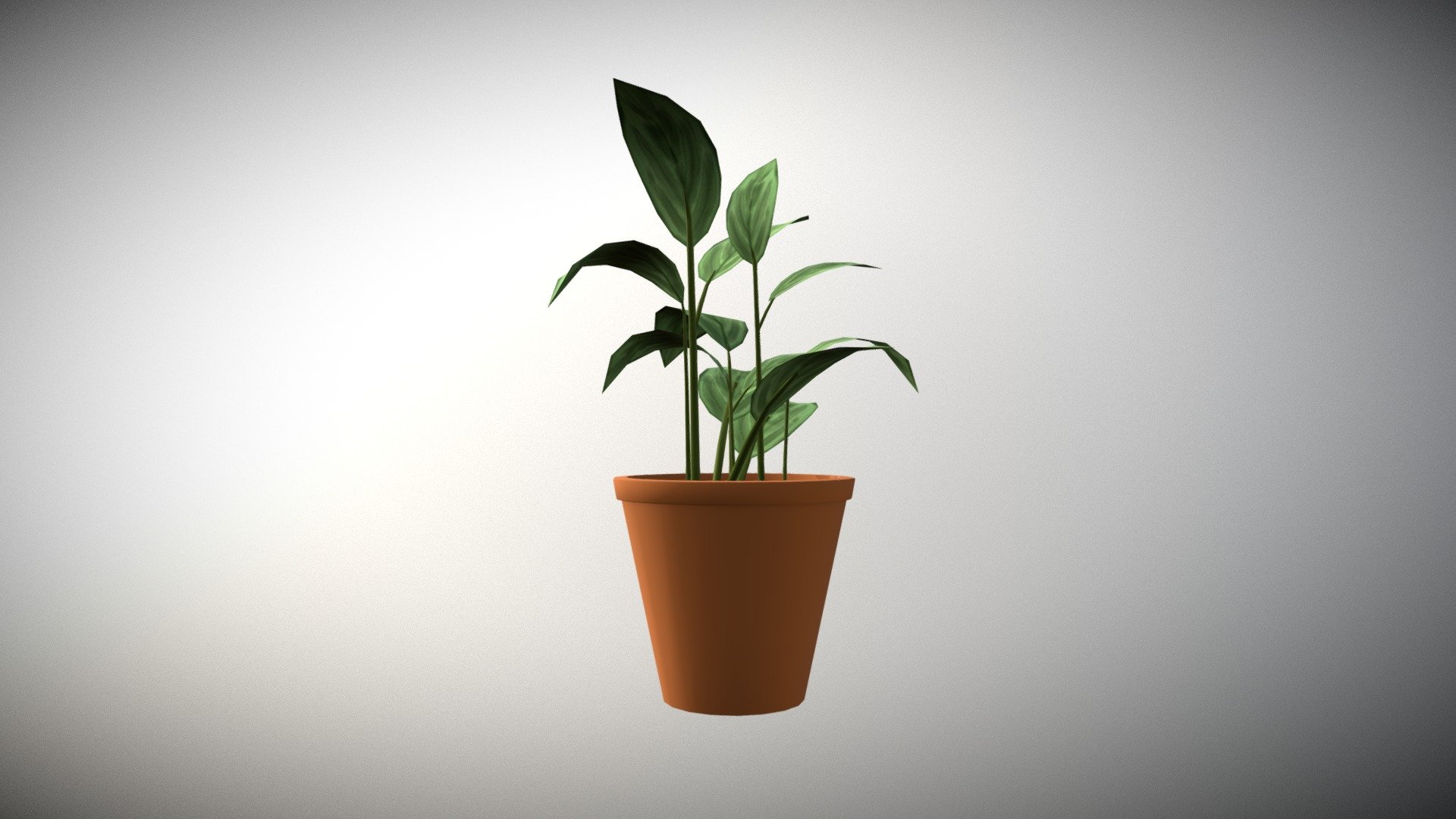 Planter Pot - 3D model by stevewalka [93376ef] - Sketchfab