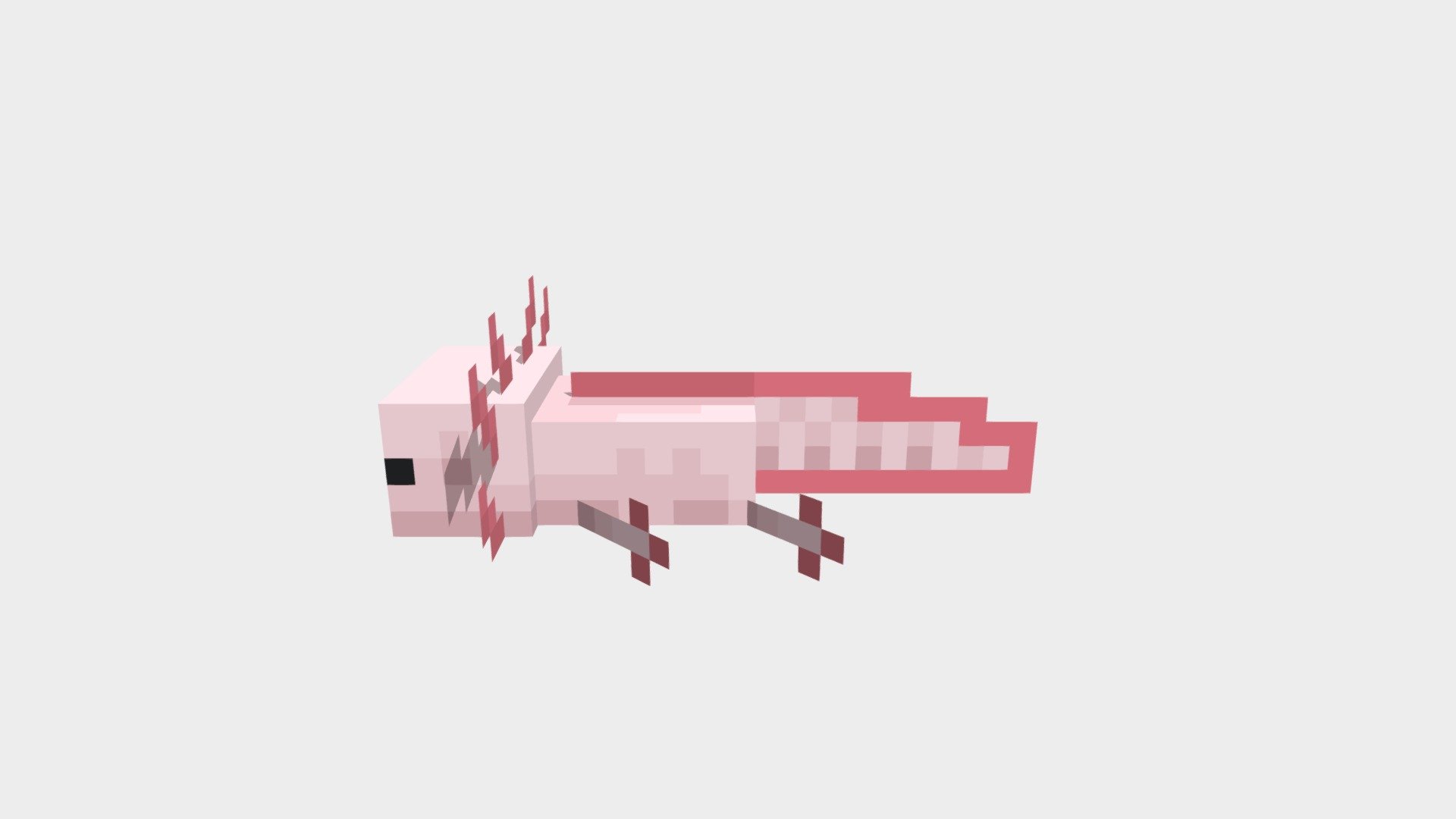 Axolotl 3D Model By GoldenD60 GoldenD60Sketchfab 933f94a Sketchfab