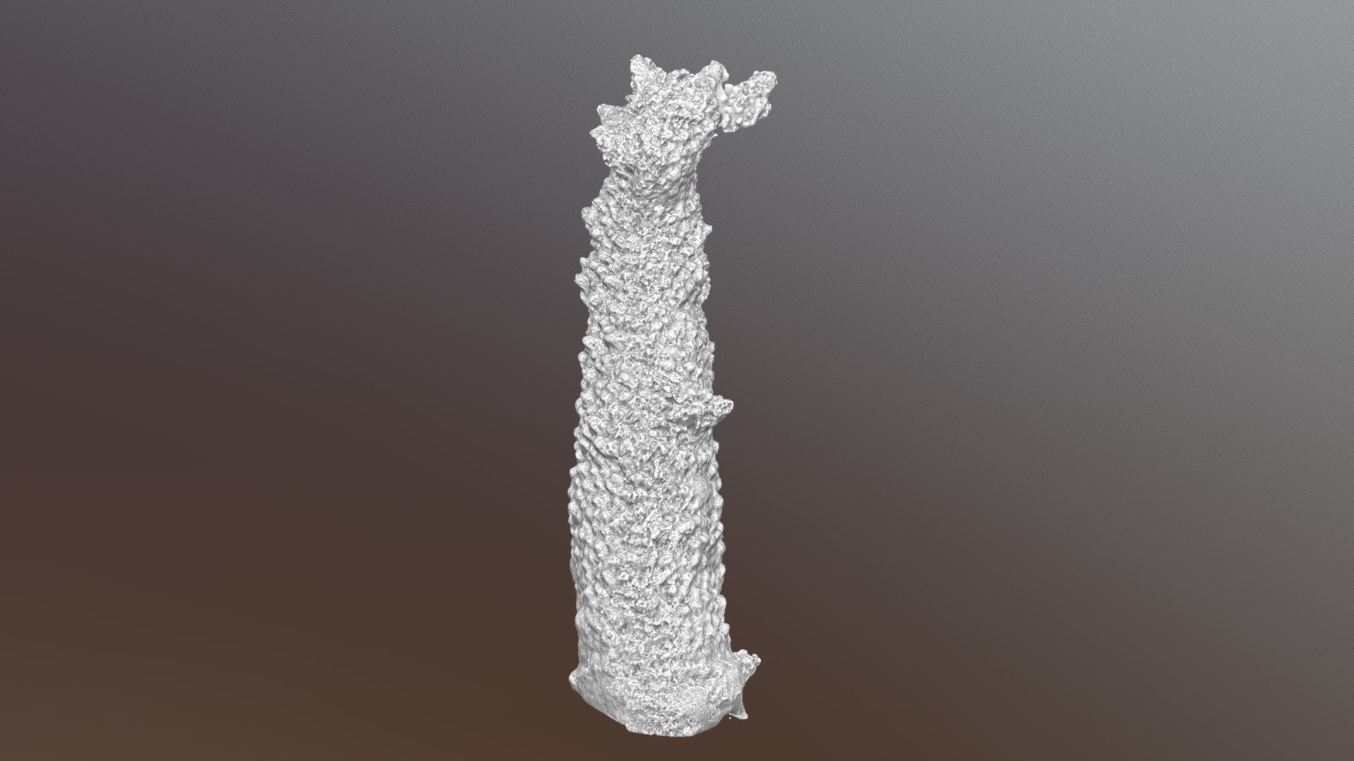 Mesh Coral - 3D model by Joao_Fernandes [9342a68] - Sketchfab