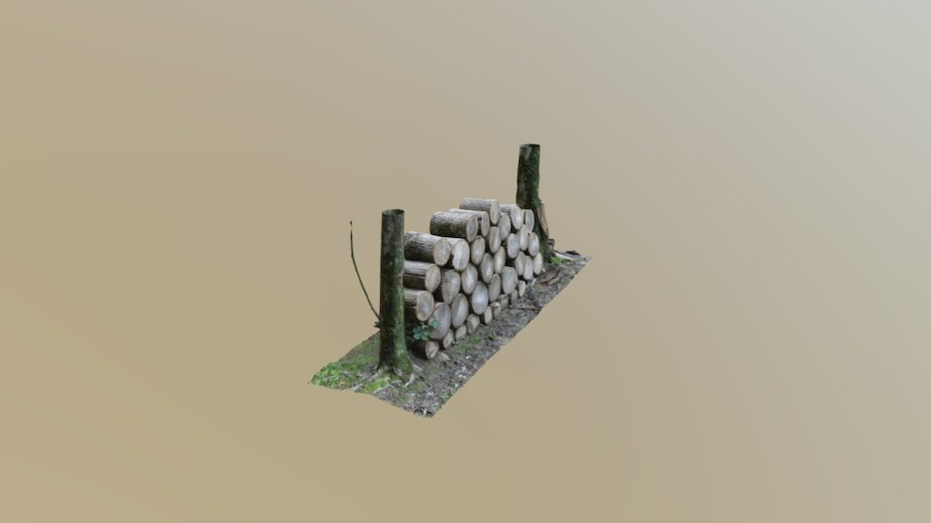 Wood Log Pile - Download Free 3D model by pavus [9347c01] - Sketchfab