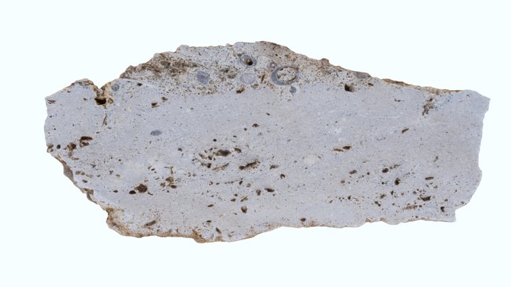 Bioclastic Rock