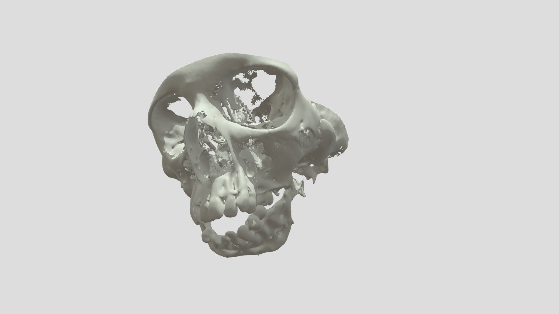 CMF10CL14022023_fix - 3D model by 3Dsurgery [934a066] - Sketchfab