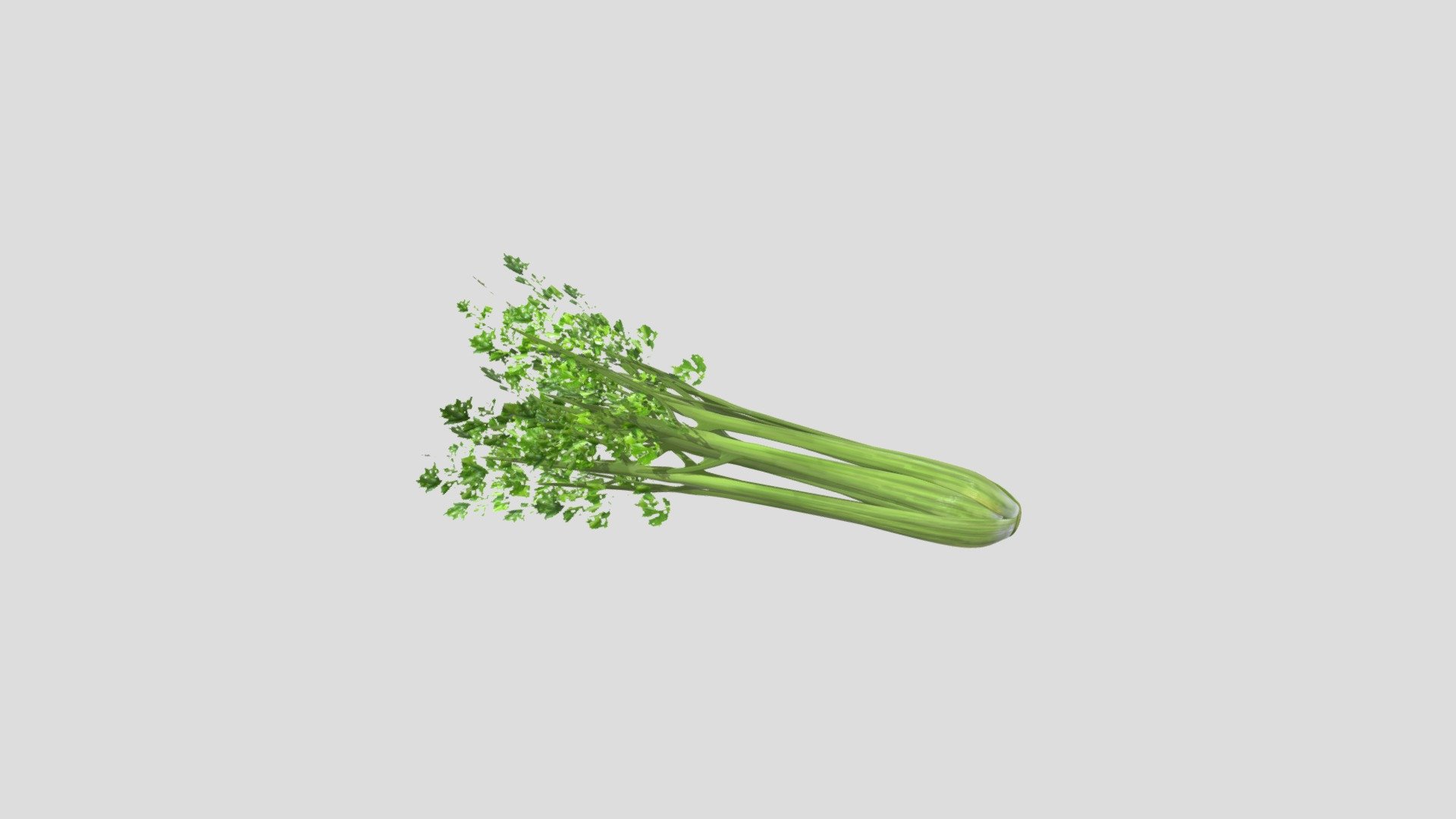 Celery - Buy Royalty Free 3D model by 3dlowpoly [934b197] - Sketchfab Store