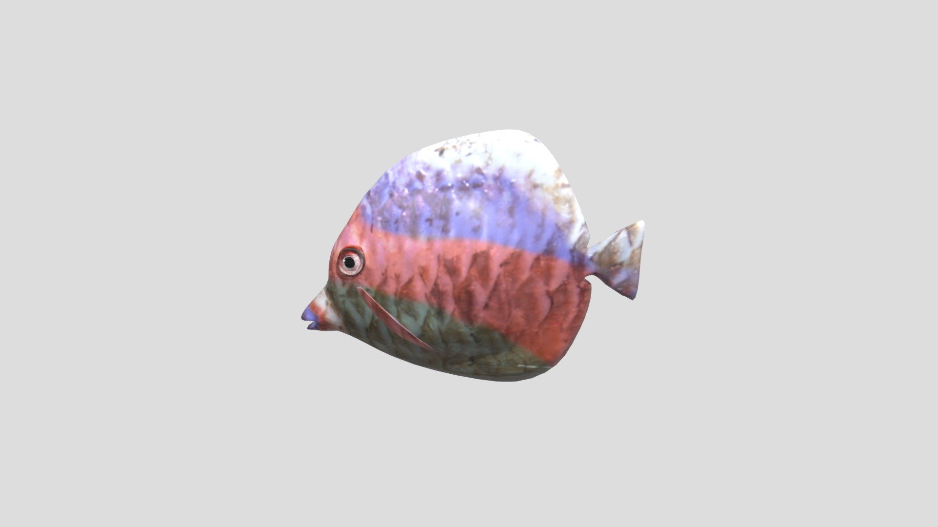Fish - 3D model by colamb2 (@colambeth2) [934c5b2] - Sketchfab