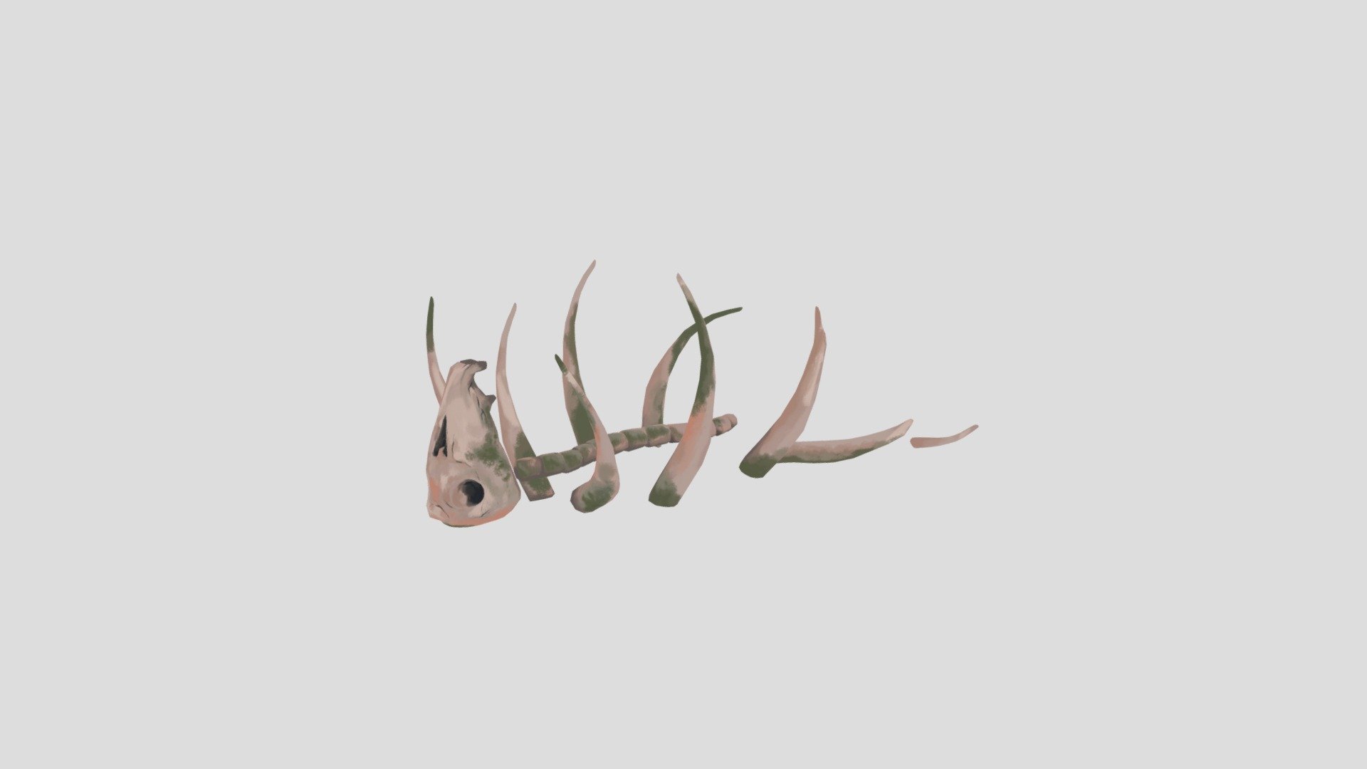 Huesos textura - 3D model by Valeriashernaez [9354cd3] - Sketchfab