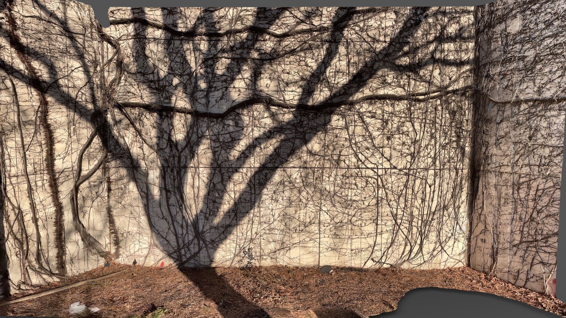 Wall, Vines & Tree Shadow - 3D model by Stuart Rosenberg (@s2rosenberg ...