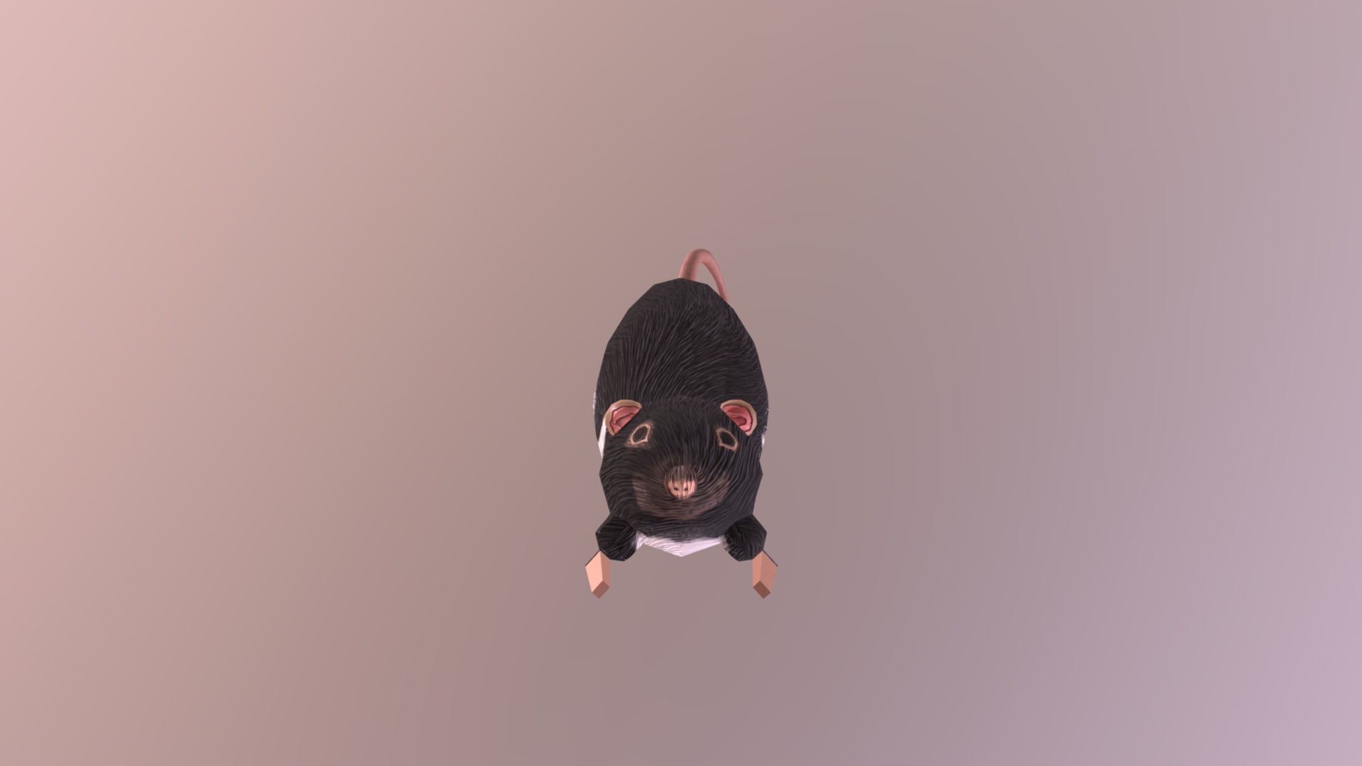 Mouse - 3D model by SirBonesly [935c161] - Sketchfab