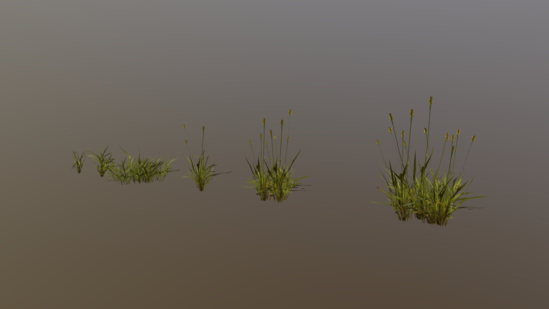 Grass etaria_viridis - Download Free 3D model by Tarunmakwana (@tarunmakwana777) [935ea49 ...