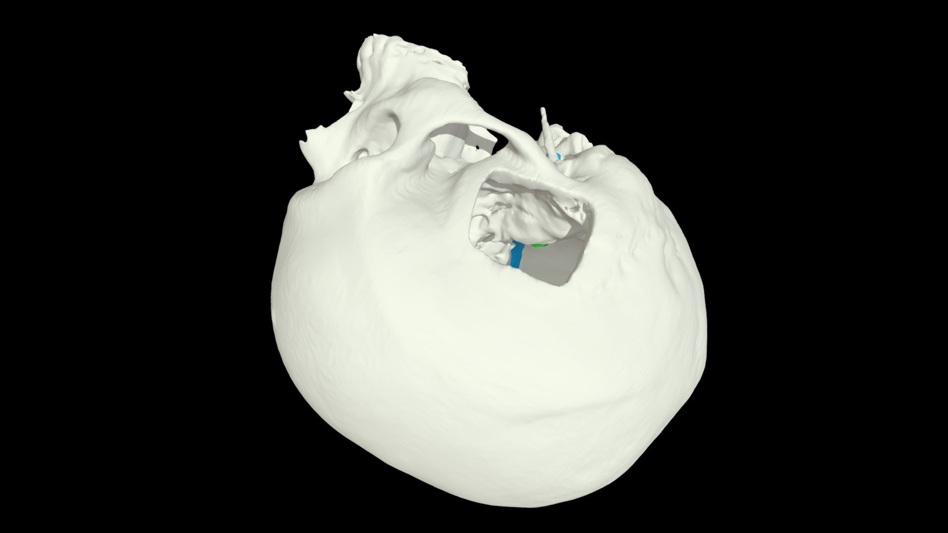 SB0006 MF - 3D model by SkullBasics [936656c] - Sketchfab