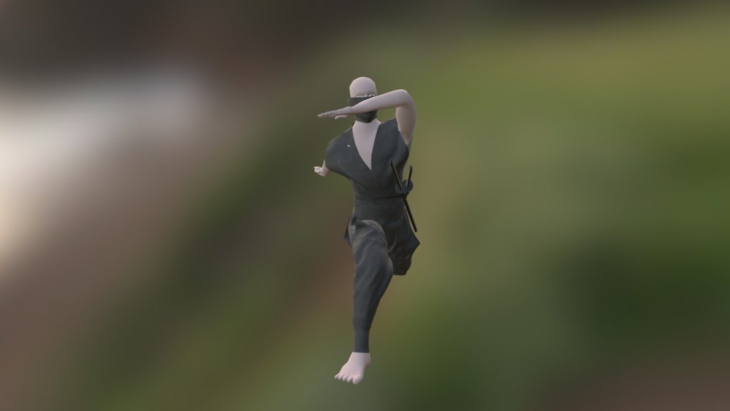 Bald Ninja - 3D model by spaceman348 [937b8e5] - Sketchfab