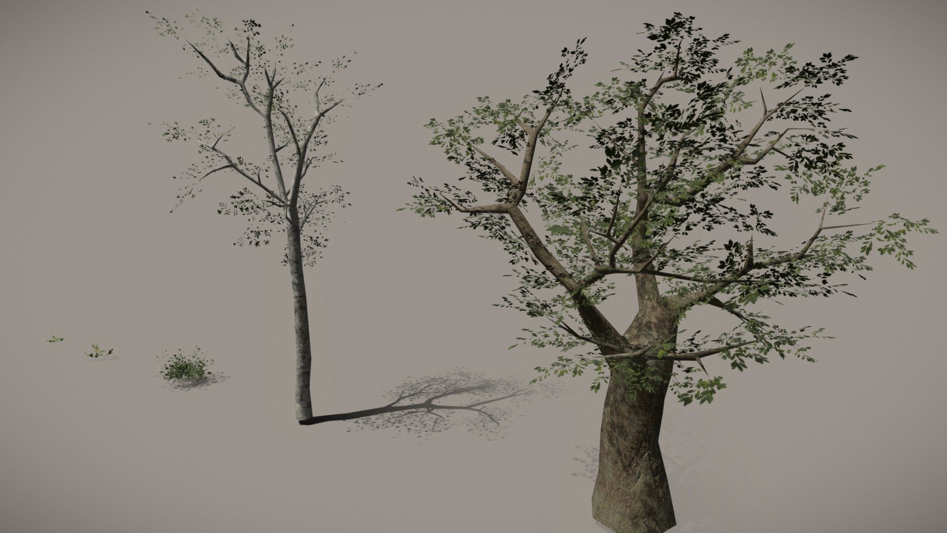 Vegetation - 3D model by aurelien_remy [937e5f9] - Sketchfab